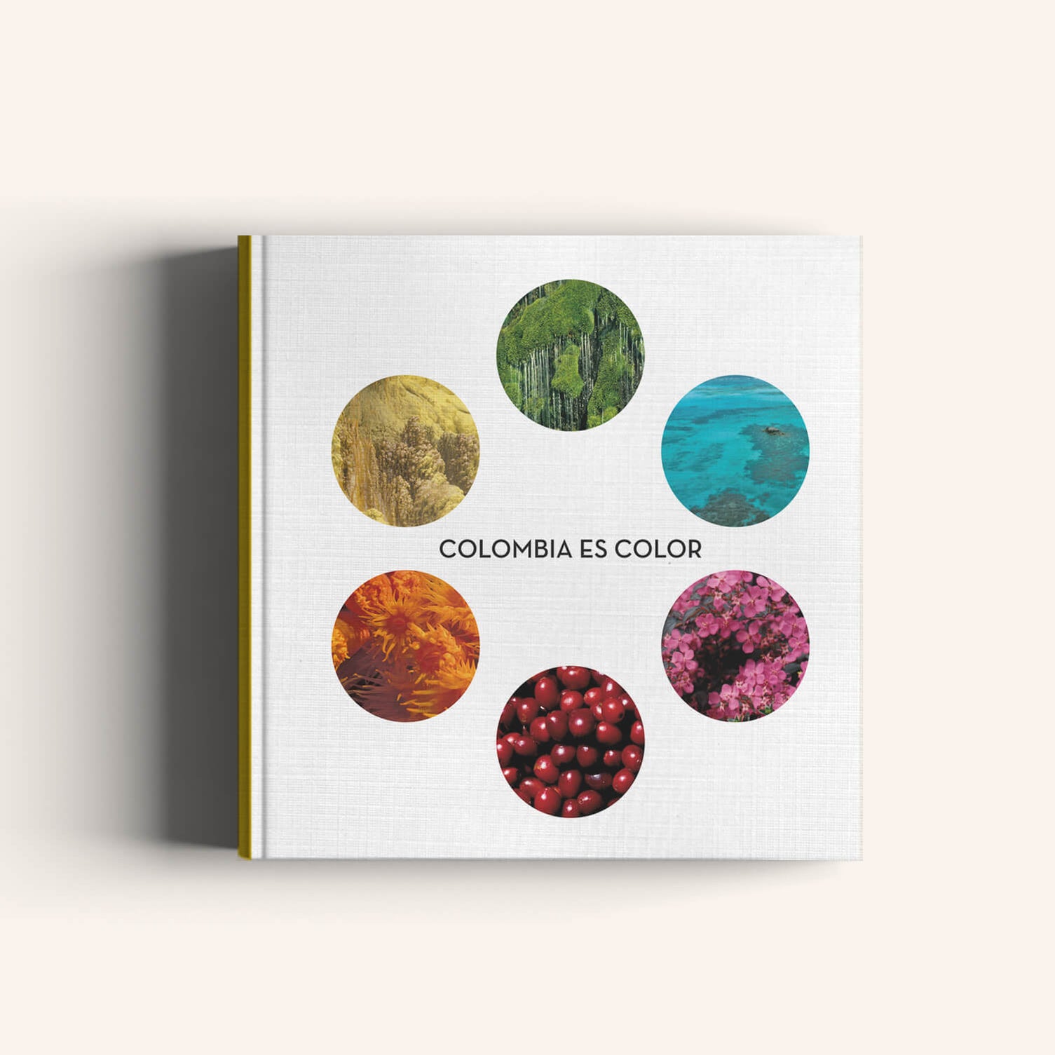 Villegas Editores | Colombia es Color