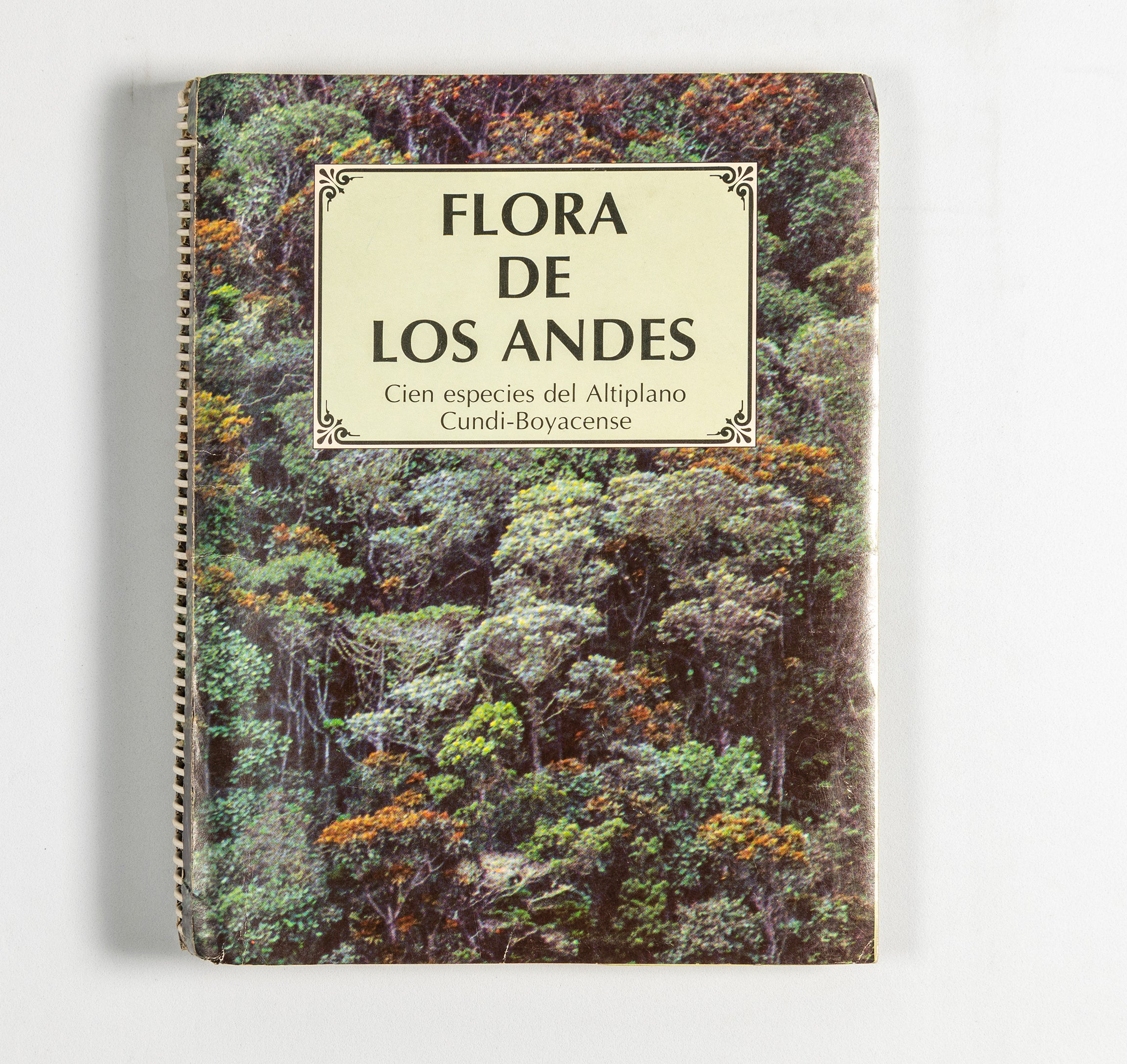 FLORA DE LOS ANDES – Villegas Editores